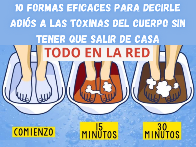 10 Formas eficaces para decirle adiós a las toxinas del cuerpo sin ...